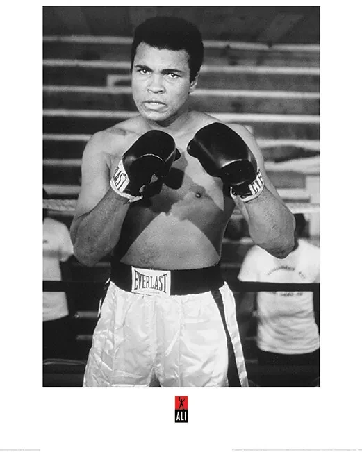 Kunstdruk Muhammad Ali - Pose | BIANO