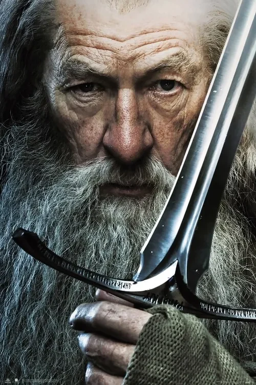 Poster The Lord of the Rings - Gandalf and Glamdring | BIANO